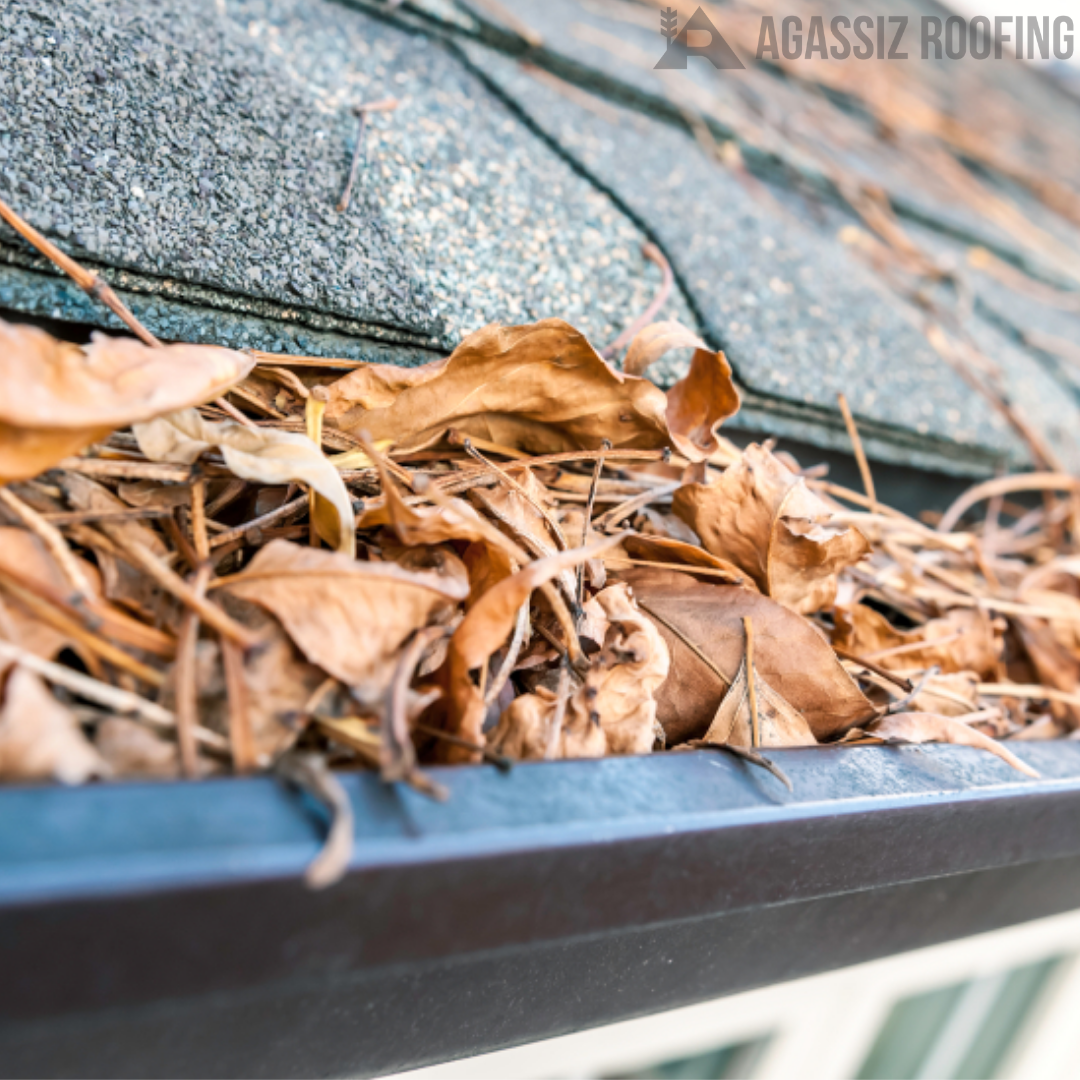 Top 5 Spring Maintenance Tips for Your Residential Roof – Agassiz Roofing